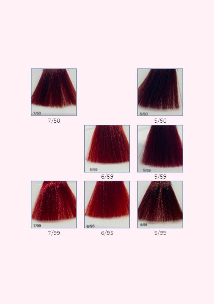 Erayba Gamma Color Tintes Caobas y Rojos | Gremio Reinoso